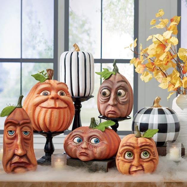 Expressive Pumpkin 30$ TODAY ONLY – GLIZM