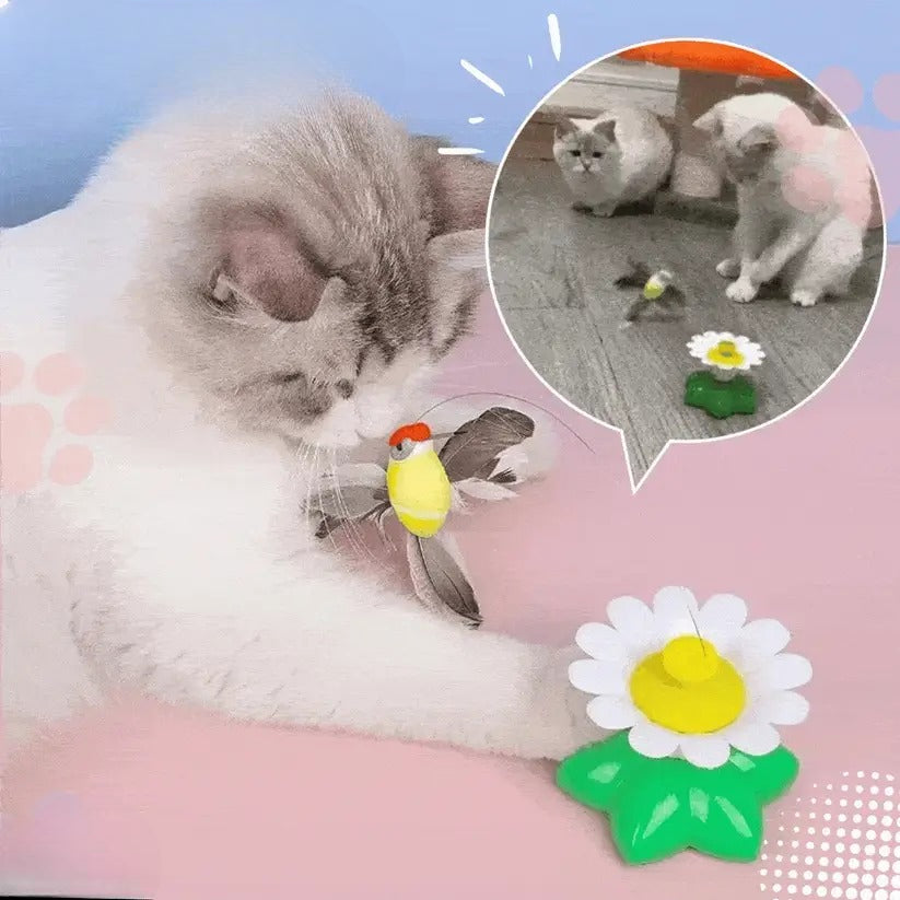 Rotating Cats Toy 5$ TODAY ONLY – GLIZM