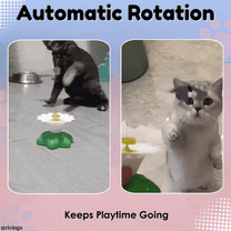 Rotating Cats Toy 5$ TODAY ONLY – GLIZM