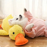 Pet Calming Duck – GLIZM